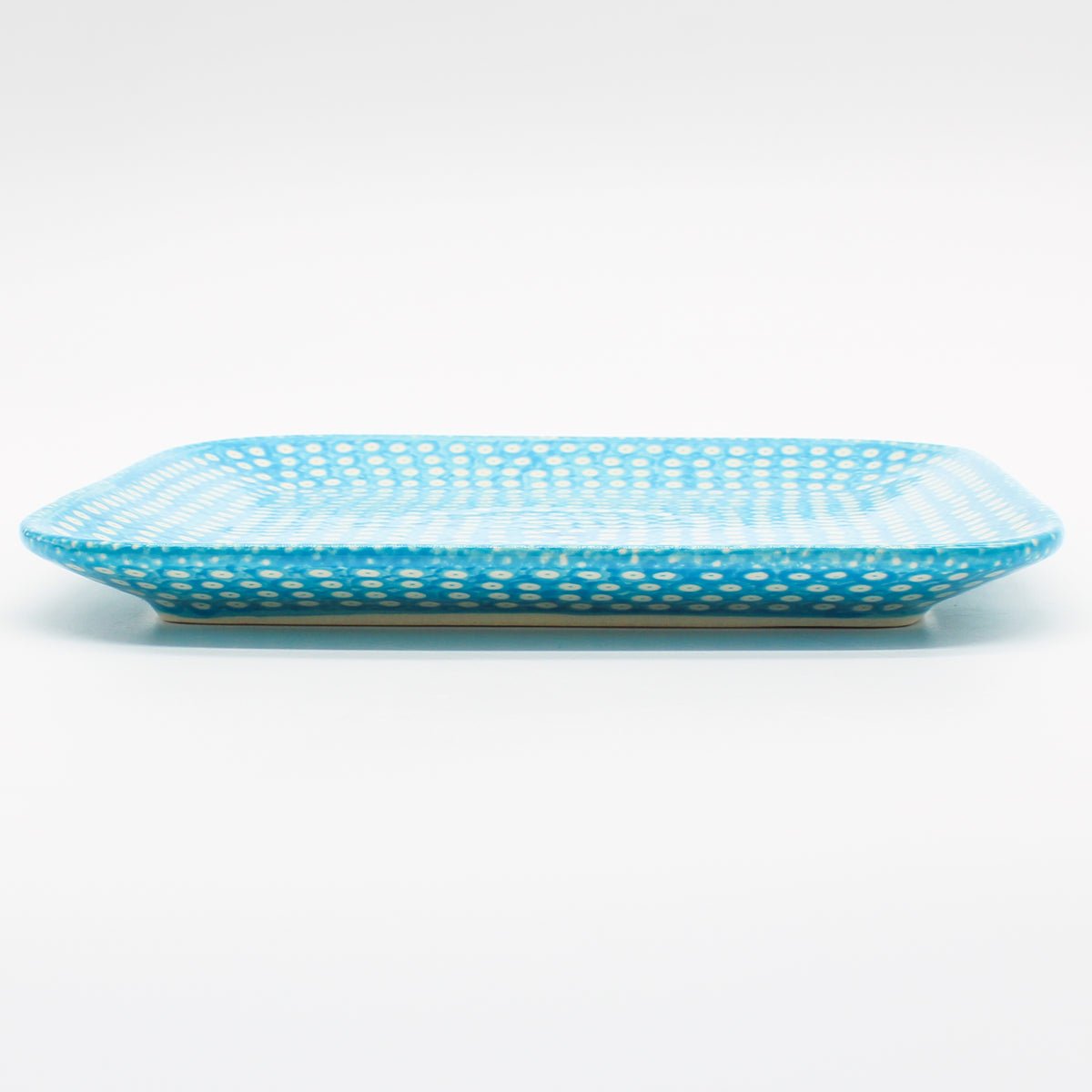 Square Sushi Plate 8.5" in Aqua Elegance – Janelle Imports